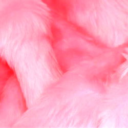 The Real Fyebottom - Model Page