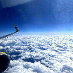 Alli: The Top Lingerie Model of 2020