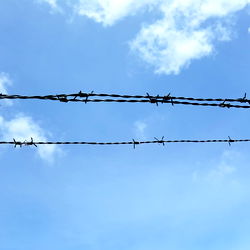 Cheex's Onlyfans Catalogue Profile: A Comprehensive Review