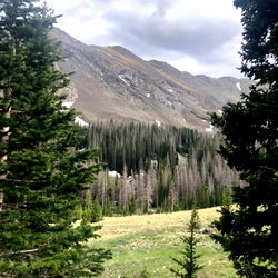 Manuel Ferrara's Exclusive OnlyFans Catalogue