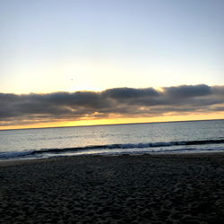 Taiján Dockery's OnlyFans Catalogue Profile