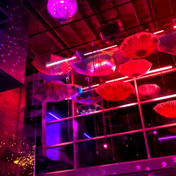 Riley Gibbs | Passionate Content Creator