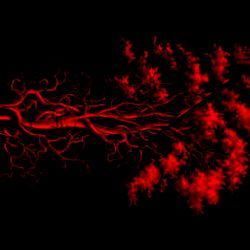 Alice P - Bikini, Swimsuit Model | Passionately Unleashing Seductive ...