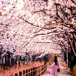 Lisaonthemoon's OnlyFans Profile: A Comprehensive Review