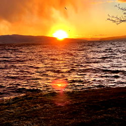 Sanna's OnlyFans Review: Unleashing Passion and Privilege