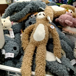 March CMU | Man & Social Media Influencer