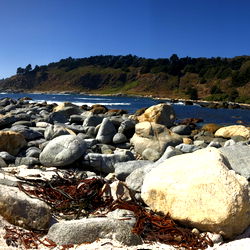 Nacho - A Sensational Chilean Model from Santiago's Spotlight