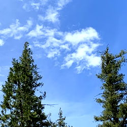 Baby b's Verified OnlyFans Profile