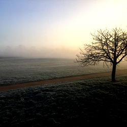 Explore the Enchanting World of Ani - Verified OnlyFans Model