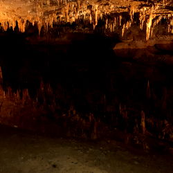 Alante's Onlyfans Catalogue Profile