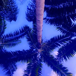 Mama Milkshake: Passionate and Sensual 30-Year-Old Florida Beauty on ...