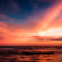 🦋 Assistant Jill 🦋 - Your Ultimate One-Stop Solution for All Your Queries!