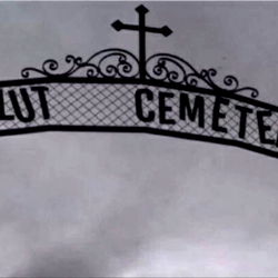 Liz 💜🦇: Your Favorite Goth Girl from Tampa, Florida