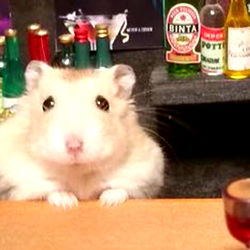 Explore the Unique and Enchanting World of Kim Kelly's OnlyFans Profile