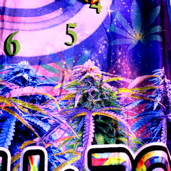 March CMU | Man & Social Media Influencer