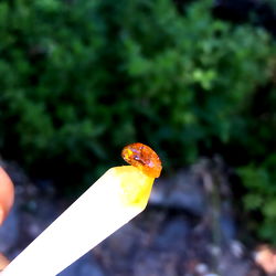 Blissa's Exclusive OnlyFans Experience