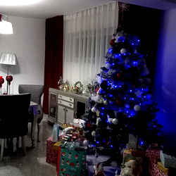 Explore the Enchanting World of Adrian - Brașov's Gem on OnlyFans