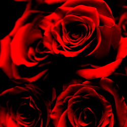 ScarlettRoze🌹 - Juicy and Sweet Content for Your Pleasure