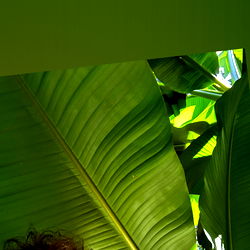 Luke | Seductive Content Creator from Spartanburg