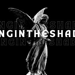 Lark Shadow | Free Muscle, Shirtless, Gym, Fitness, Mirror Selfie