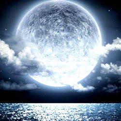 Ariel Moon - The Seductive Bloom of Passion