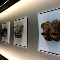 Kitty Kay - Alluring Sensuality and Captivating Content on OnlyFans