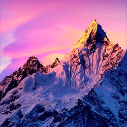 Austin B - The Bodybuilding Sensation from Florida