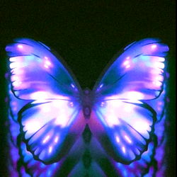 Explore the Alluring World of Riv Jones - OnlyFans