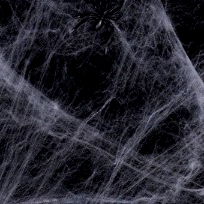 😈WKND SALE😈 🧡miss lucy squ!rts-a-lot💦💦💦