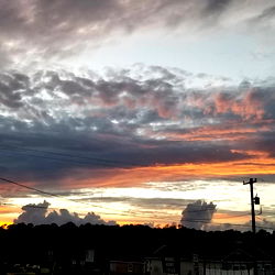 Alli Purrr: A Stunning Model from Florida