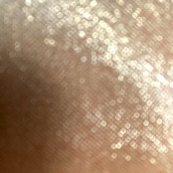 Badgal - Australia's Iconic Model