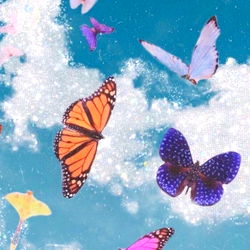 Frankie🦋💗 - Luxurious Lingerie Experience