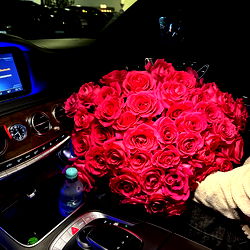 🌹Jenny 🌹 - Model Page