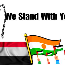 Teamstee | Top Adult Entertainer in Swimwear & Bikini Content