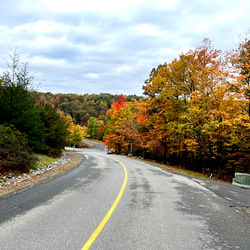 Meet Jameliz: A Vibrant and Talented Model from Council of the City of ...