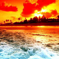 Kale - Fashionable and Charismatic Male Model