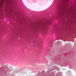 Alli Anderson: Unleashing the Passion in Every Performance