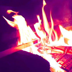 Michelle Gillis - Canadian Passion in Every Post